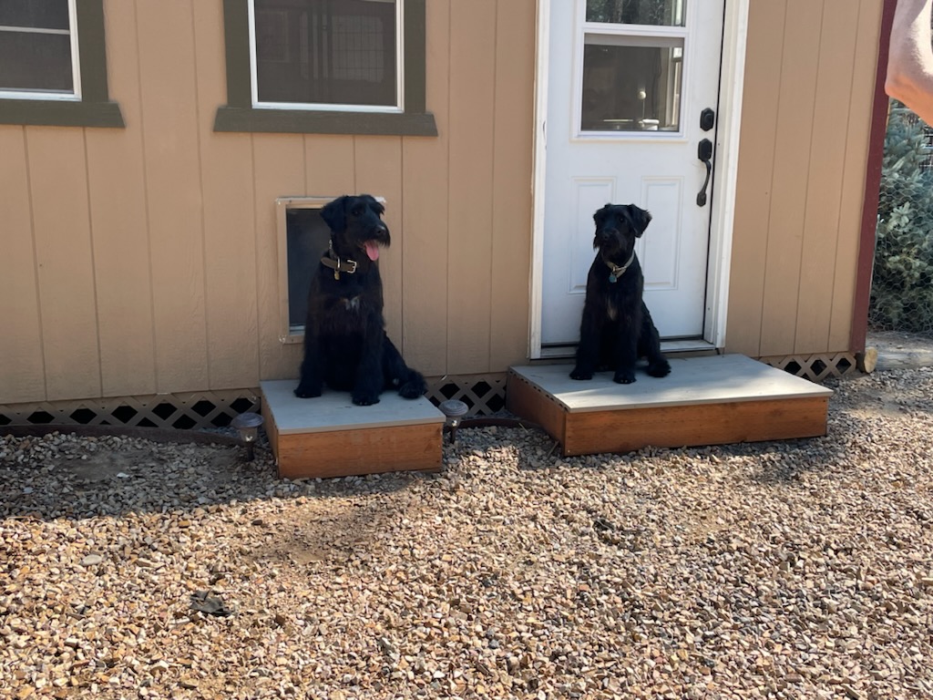 Our Facility | Oregon Giant Schnauzers